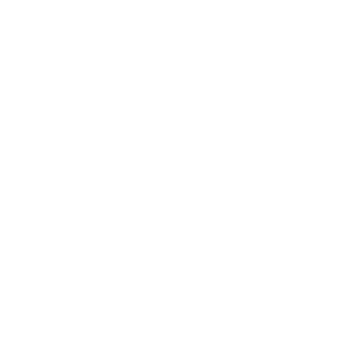 End-to-End Solution Implementation - Altera Consulting